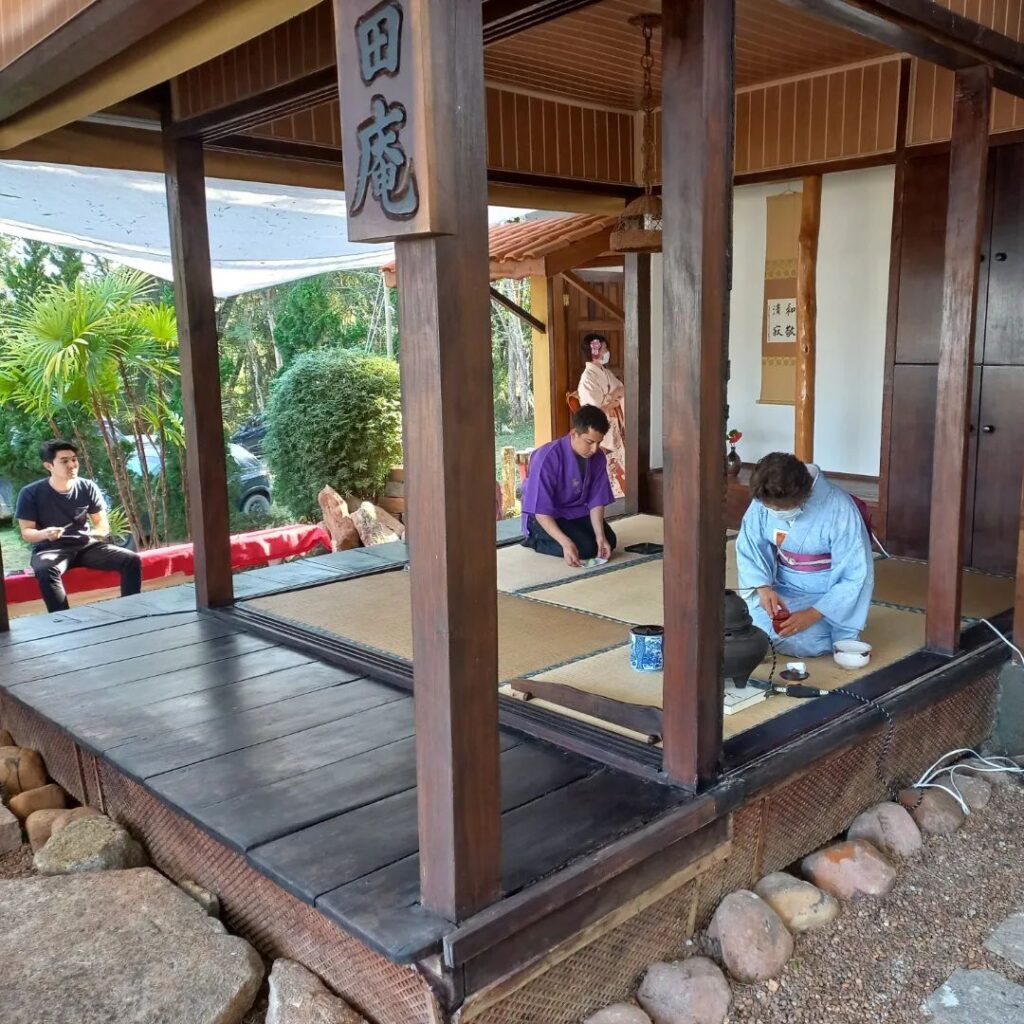 5 Motivos para Não Perder o Festival das Cerejeiras de São Roque